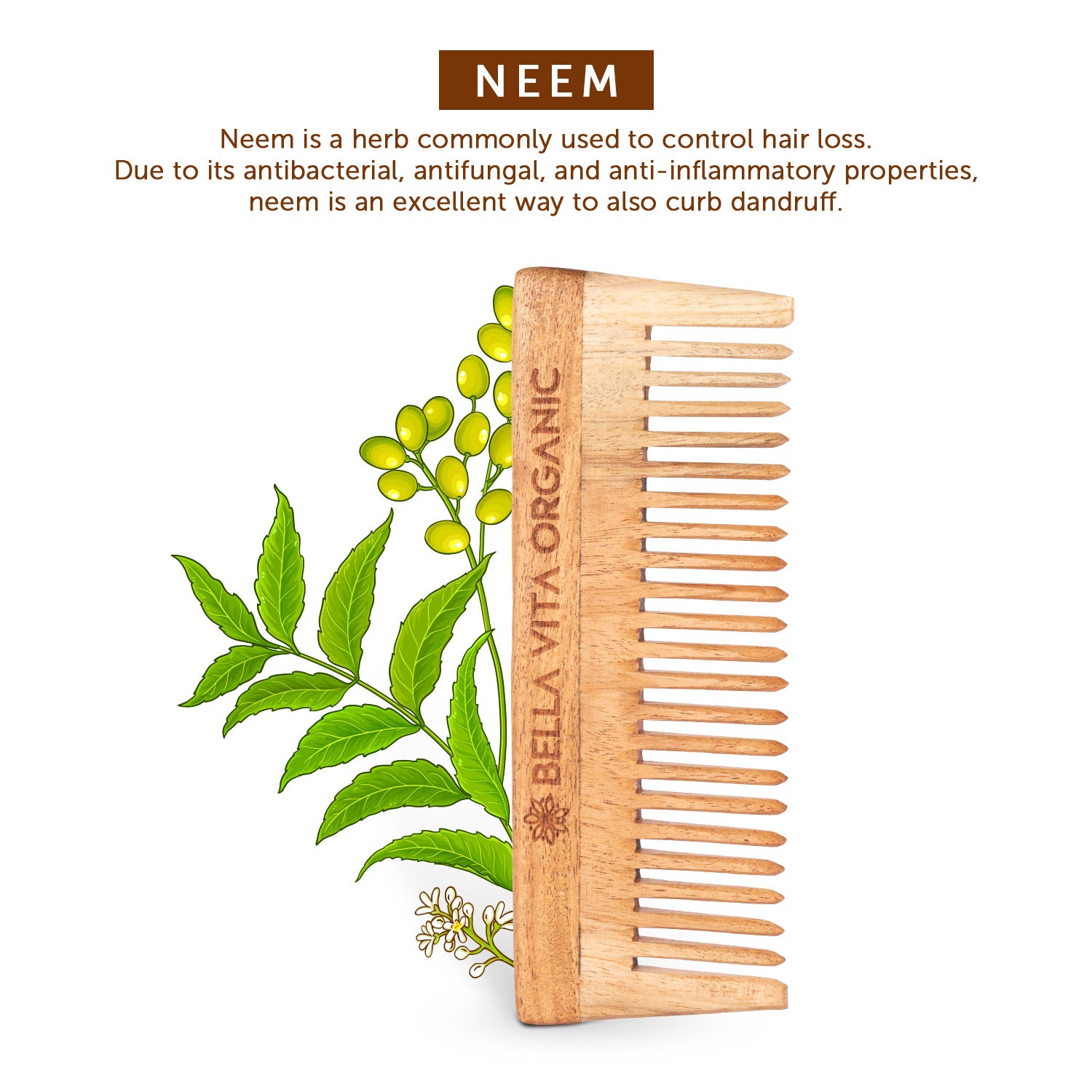 Buy Best Neem Wood Comb Online in India Under ₹200 I BellaVita